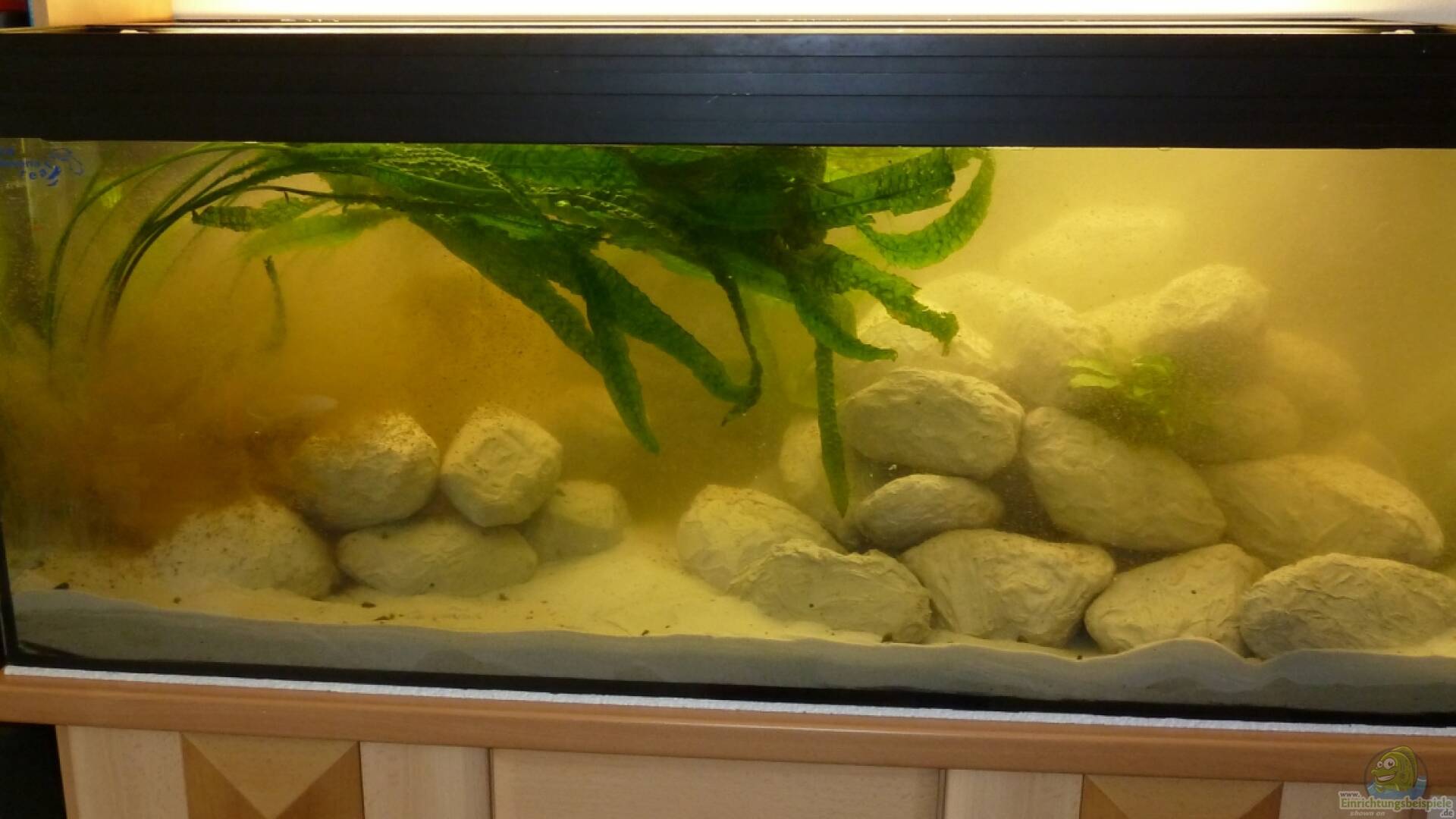 Hamburger Mattenfilter: Alle wichtigen Infos