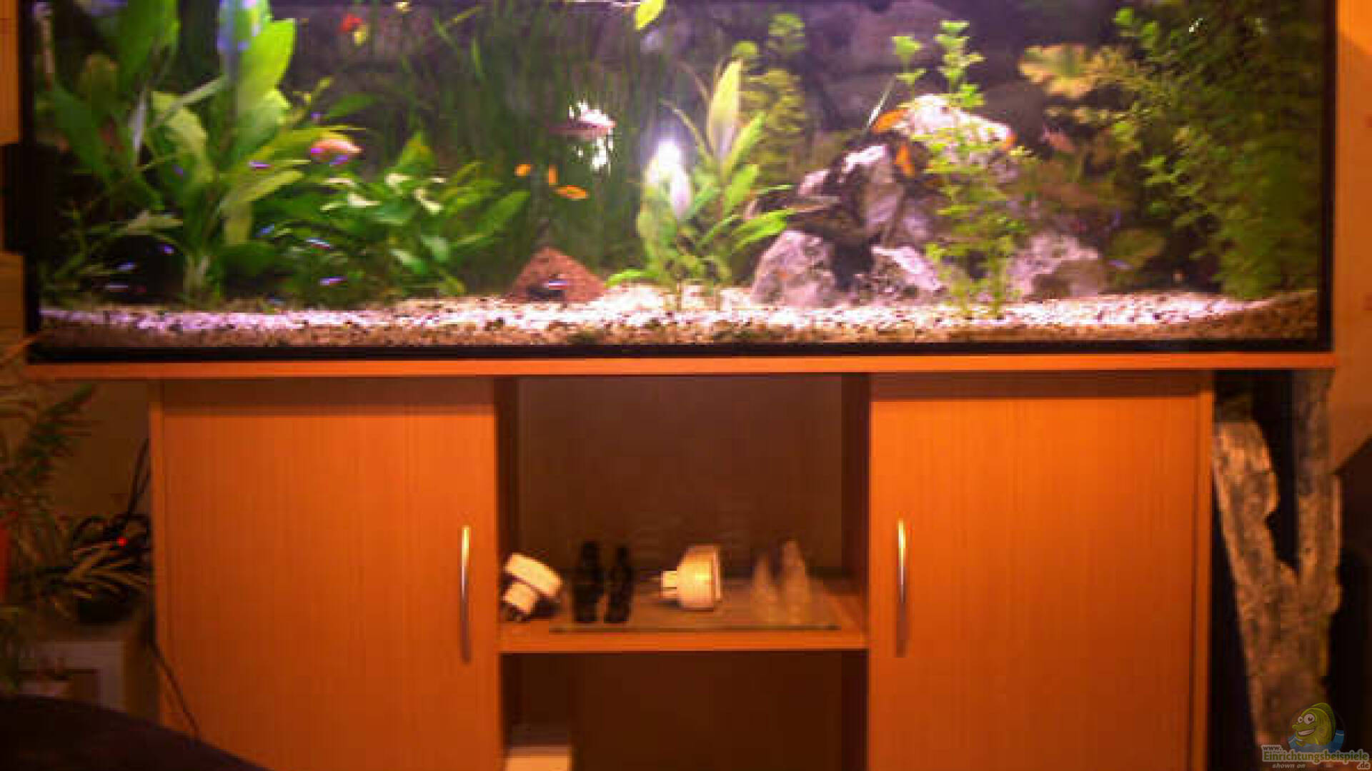 Juwel Rio: Alle wichtigen Infos