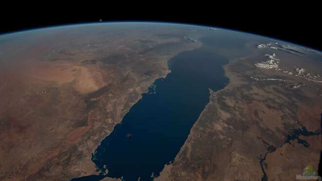 Rotes Meer: Alle wichtigen Infos