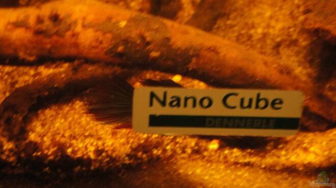 Dennerle: Alle wichtigen Infos | Einrichtungsbeispiele