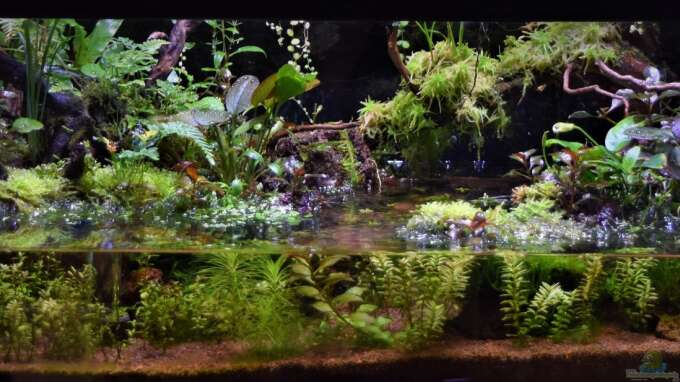 Welche Biotope werden am häufigsten in eine ... (6196)