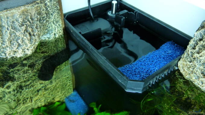 Der Juwel Bioflow: Geliebt und immer wieder ... (5904)