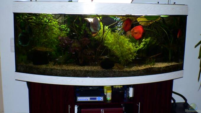 Aquarium von Uwe Raschke (16001): Juwel Vision 450