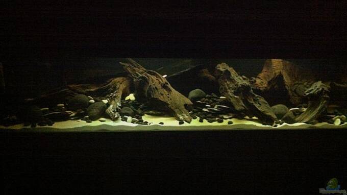 Aquarium von matthiasm (22376): Rio Tapajós