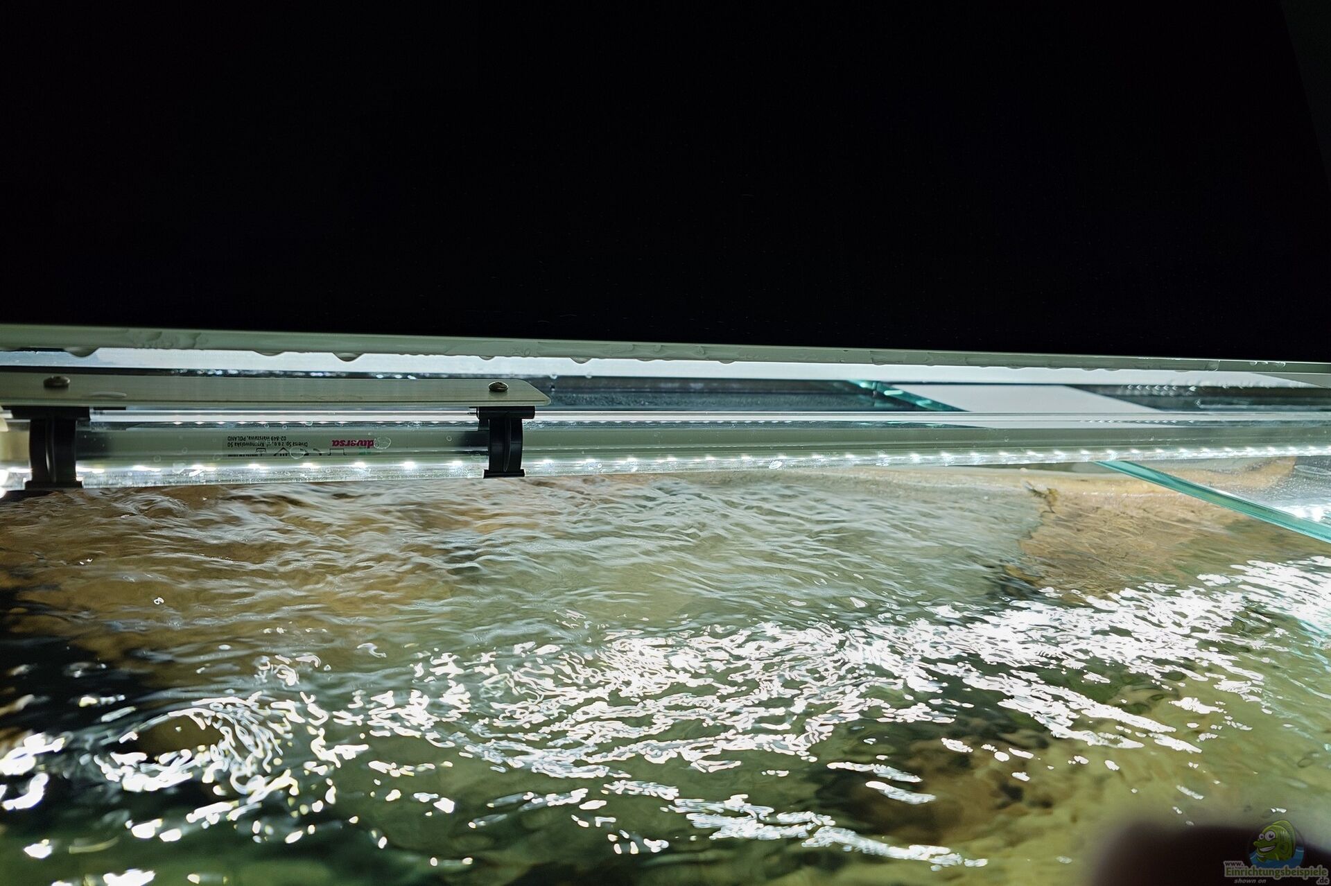 Optimale Beleuchtungszeiten im Aquarium - der... (7582)