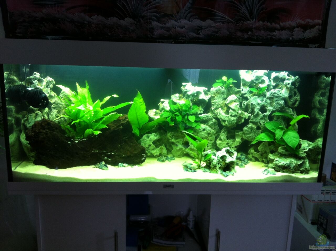 Aquarium von Down Face: Juwel Rio 240