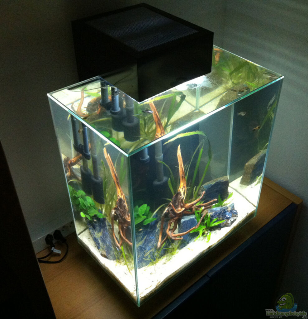 Fluval edge 2