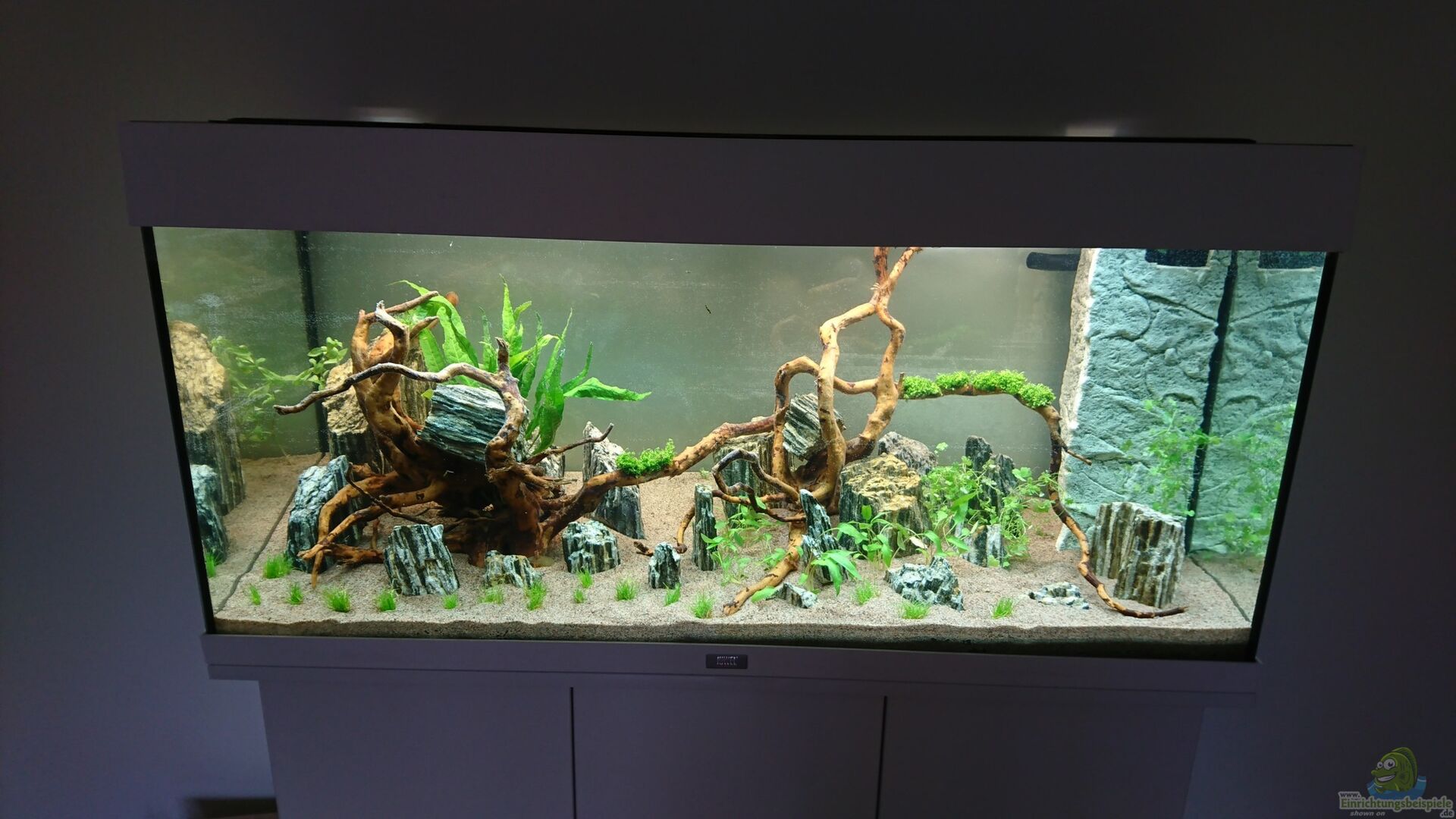 Aquarium von ulli85 (36797): Juwel Rio 180