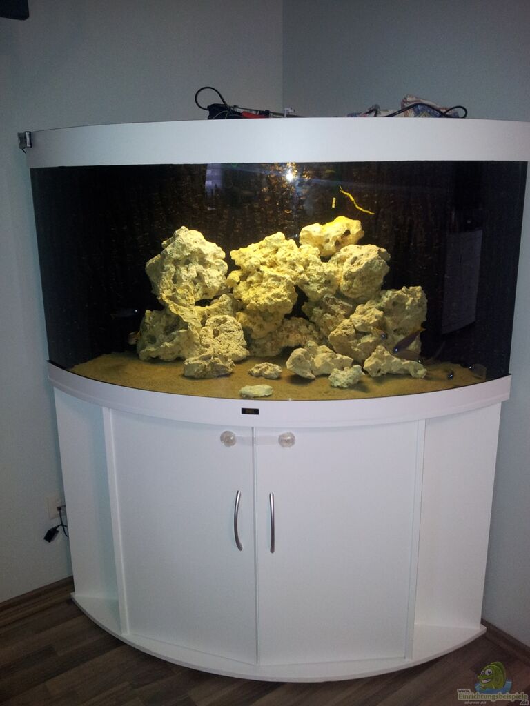 Aquarium von ibozkurt: Juwel Trigon 350 Eck Aq